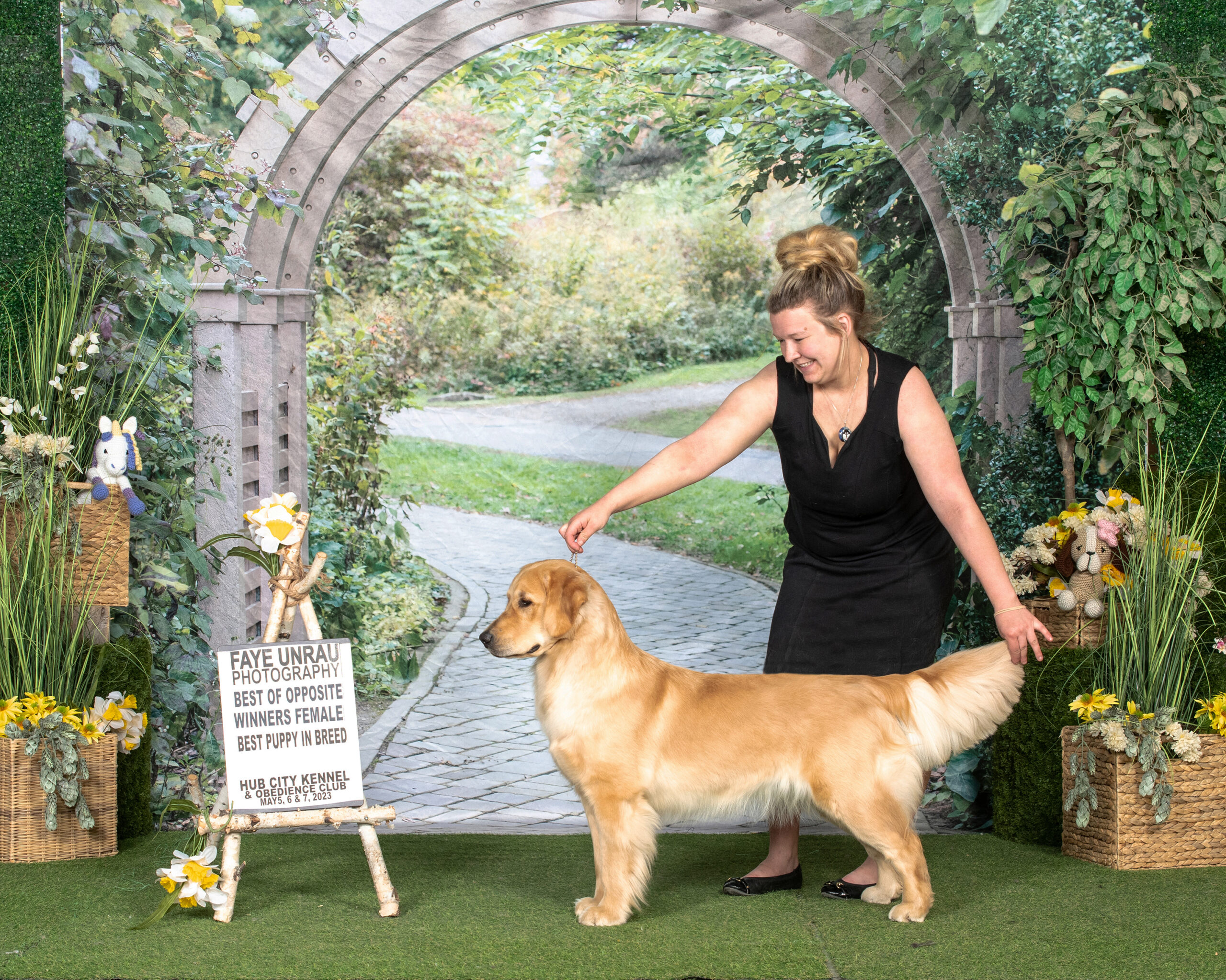 Kenro Dog Training | Therapy Dog Prep & Obedience Classes